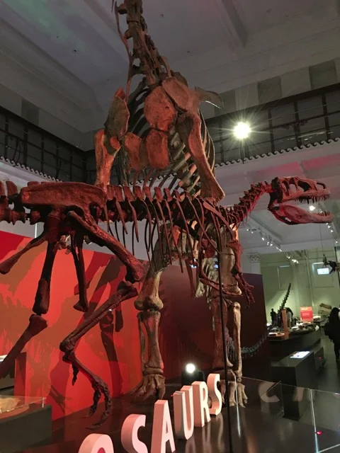 Top 5 things to do at the Australian Museum - Sydney - Busy City Guide