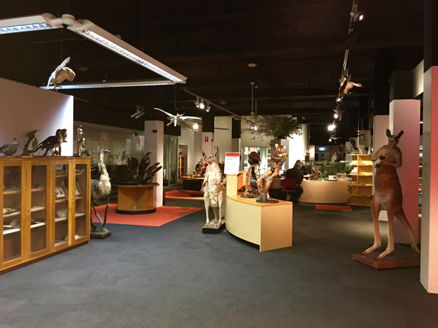 Top 5 things to do at the Australian Museum - Sydney - Busy City Guide
