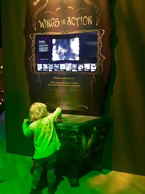 Bug Lab: Little Bugs, Super Powers at Melbourne Museum - Review - Busy ...