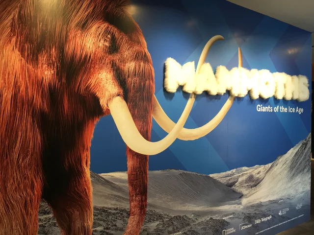 Mammoths: Giants of the Ice Age - Australian Museum - Review & Giveaway ...