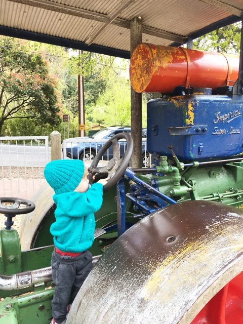 Stirling Steamroller Playground - Adelaide - Review - Busy City Guide