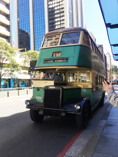 Sydney Bus Museum - Leichhardt - Sydney - Review - Busy City Kids