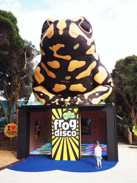 The Wiggles Frog Disco Review - Melbourne Zoo - Melbourne - Review ...
