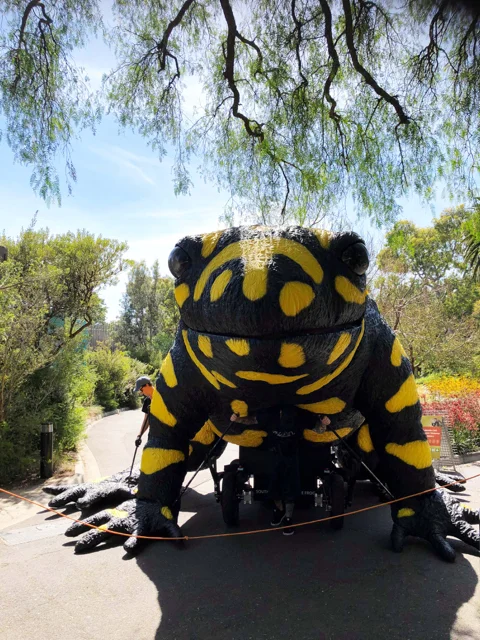 The Wiggles Frog Disco Review - Melbourne Zoo - Melbourne - Review ...