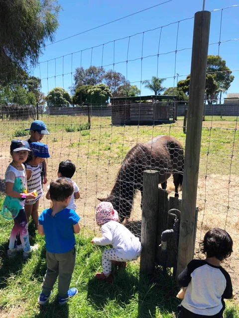 Myuna Farm - Doveton - Melbourne - Review - Busy City Kids