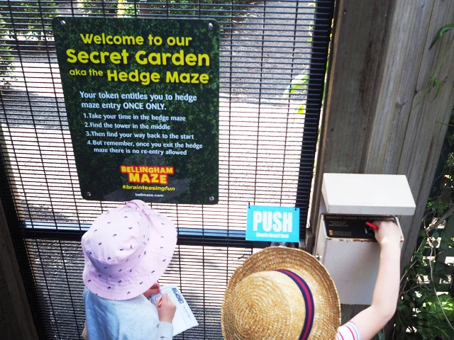Bellingham Maze - Tanawha - Sunshine Coast - Review - Busy City Guide