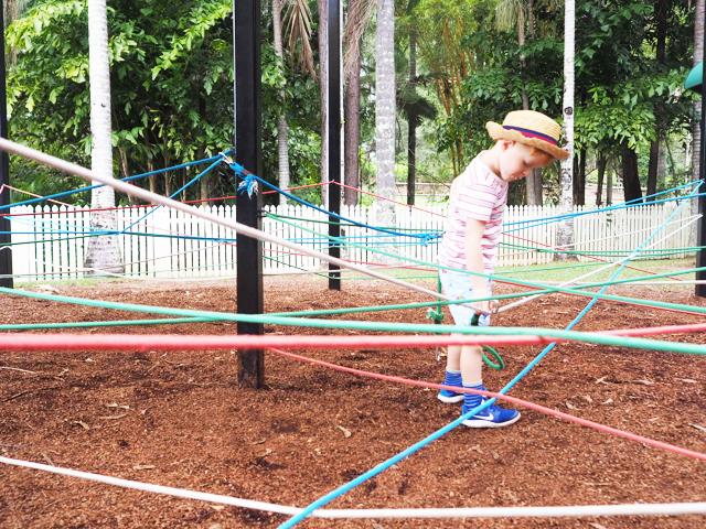 Bellingham Maze - Tanawha - Sunshine Coast - Review - Busy City Guide