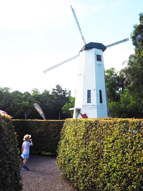 Bellingham Maze - Tanawha - Sunshine Coast - Review - Busy City Guide