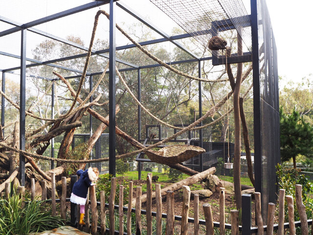 Gorge Wildlife Park - Adelaide - Review - Busy City Kids