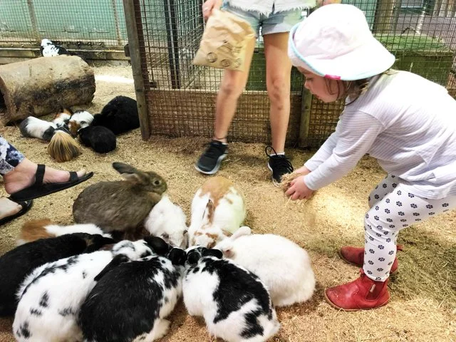 Melbourne with Kids - Busy City Kids