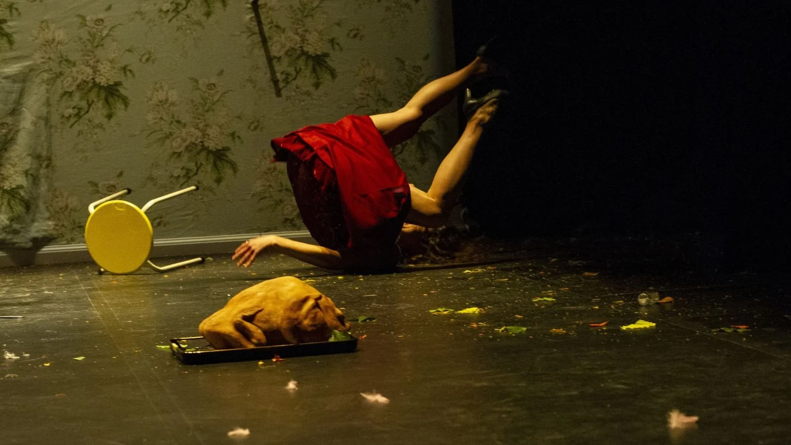 Dimanche at the Sydney Opera House - Busy City Kids