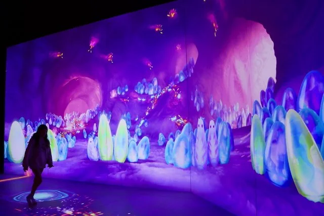 Antopia at the Melbourne Museum - Review - Busy City Kids