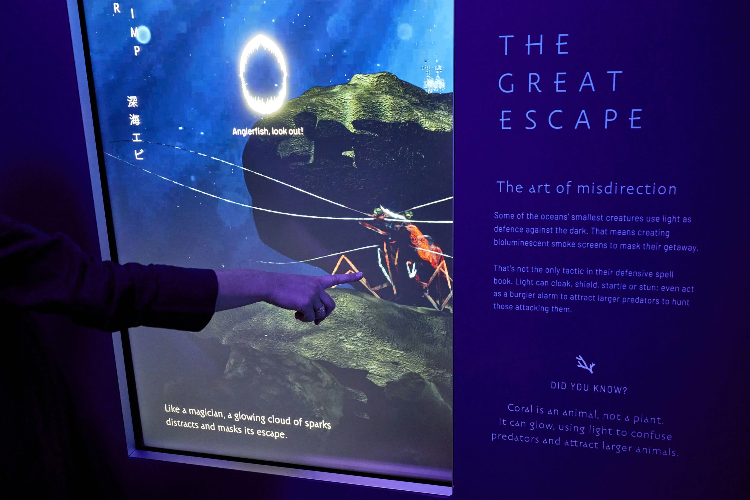 Submerged Immersive Experience at SEA LIFE Melbourne Aquarium - Busy ...