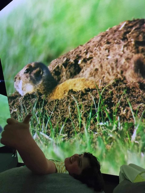 BBC Earth Experience at the Melbourne Convention and Exhibition Centre - Busy City Kids