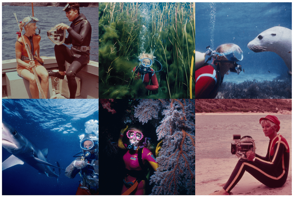 Valerie Taylor: An Underwater Life at the Australian National Maritime ...