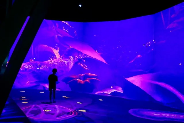 Antopia at the Melbourne Museum - Review - Busy City Guide