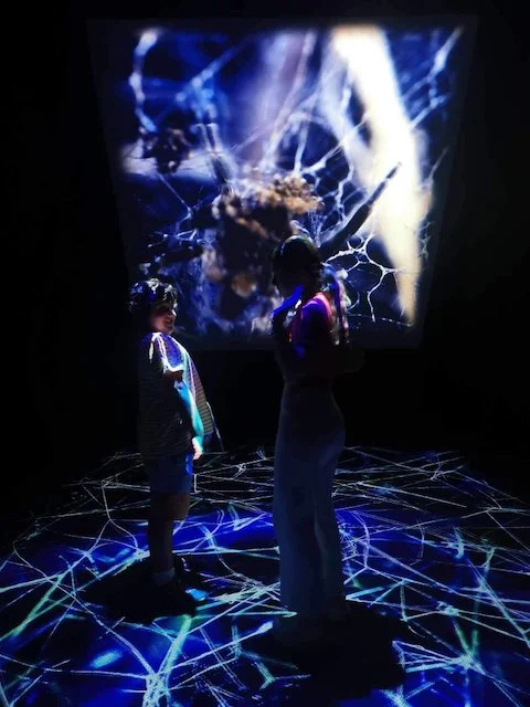 BBC Earth Experience at the Melbourne Convention and Exhibition Centre ...