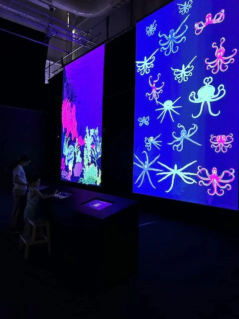 Octopus Garden at the Australian National Maritime Museum - Review ...
