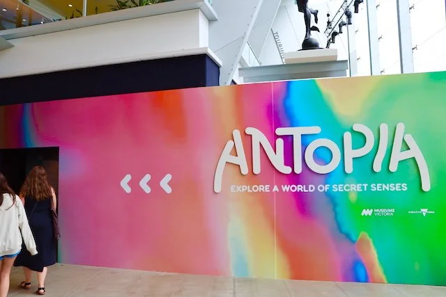 Antopia at the Melbourne Museum - Review - Busy City Kids