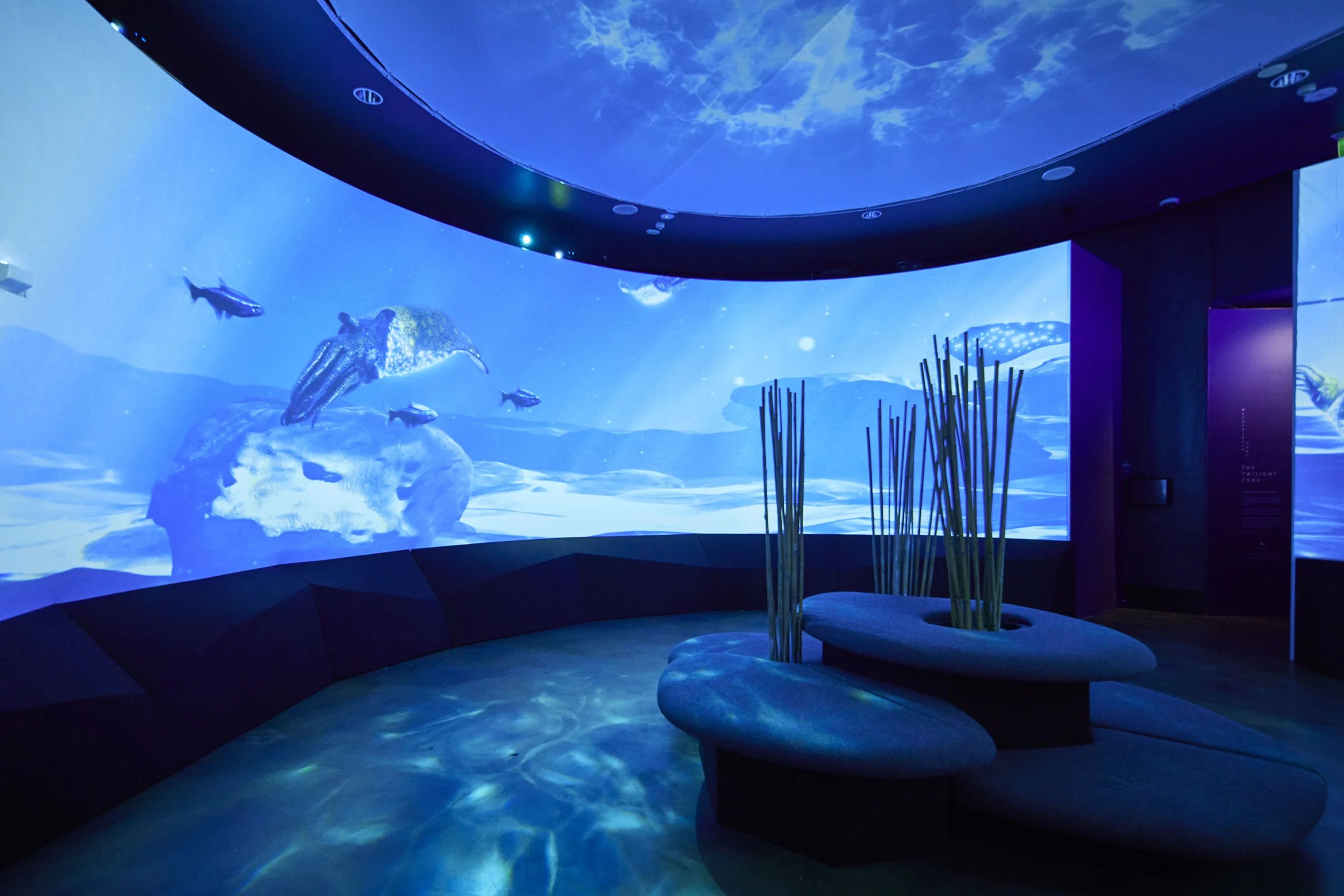 Submerged Immersive Experience at SEA LIFE Melbourne Aquarium - Busy ...