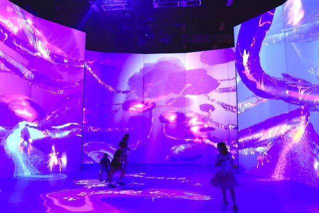 Antopia at the Melbourne Museum - Review - Busy City Guide