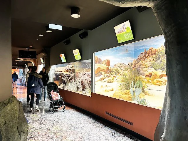 ARC - Amphibian and Reptile Conservation Centre at Taronga Zoo - Review ...