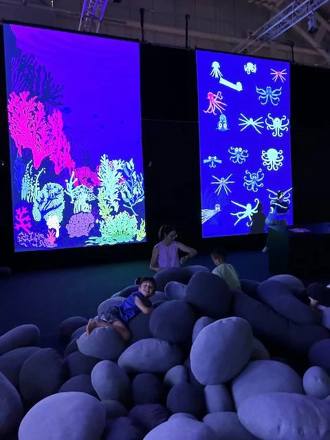 Octopus Garden at the Australian National Maritime Museum - Review ...