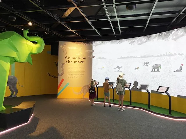 How to Move a Zoo - Museum of Sydney - Review - Busy City Kids