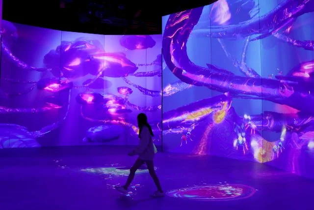 Antopia at the Melbourne Museum - Review - Busy City Kids