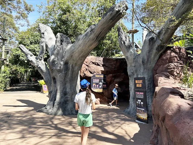 Nguwing nura - Nocturnal House at Taronga Zoo - Review - Busy City Guide