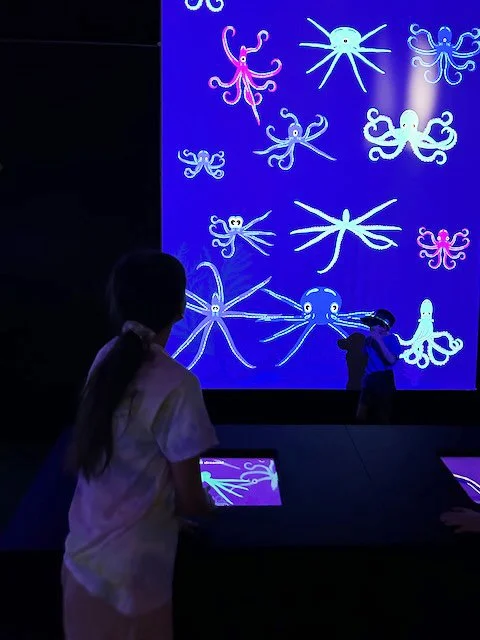 Octopus Garden at the Australian National Maritime Museum - Review ...