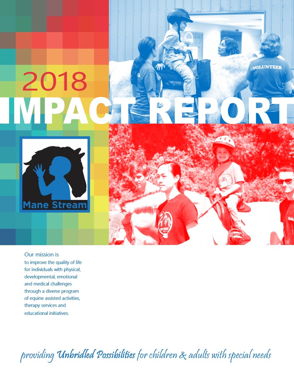 Mane Stream — Mane Stream Annual Report, 990 Forms, audited financials