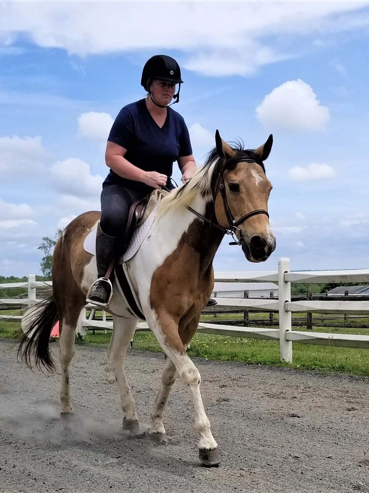 Mane Stream — Adaptive Riding Update