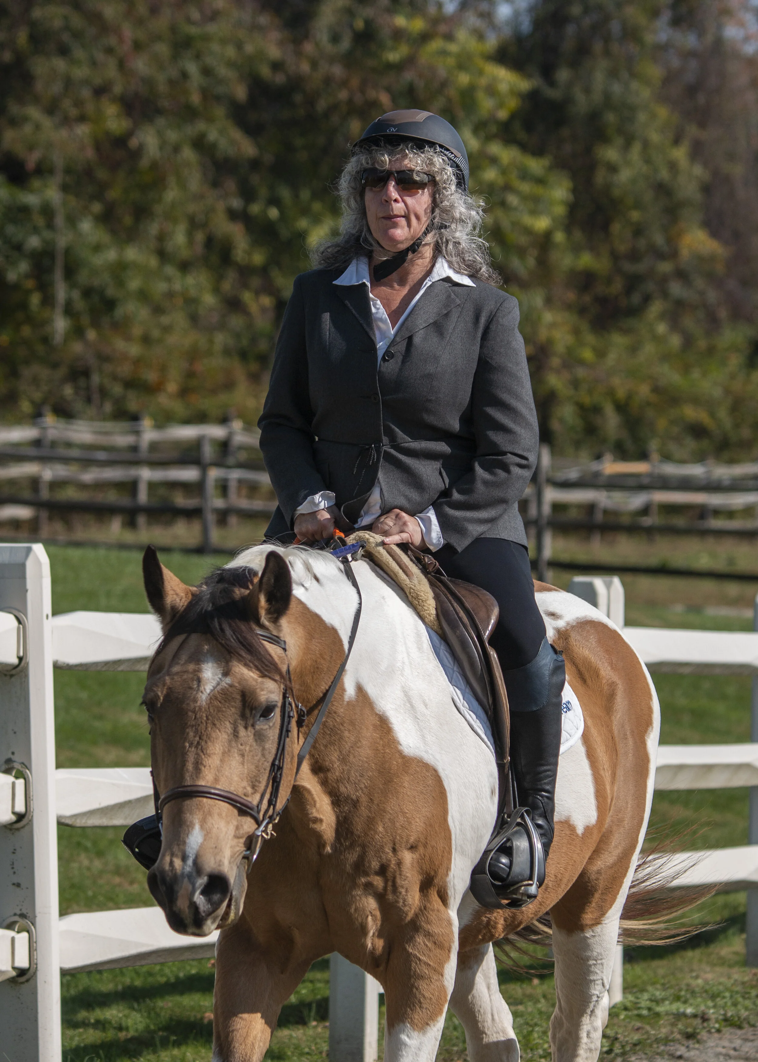 Mane Stream — Horse Shows