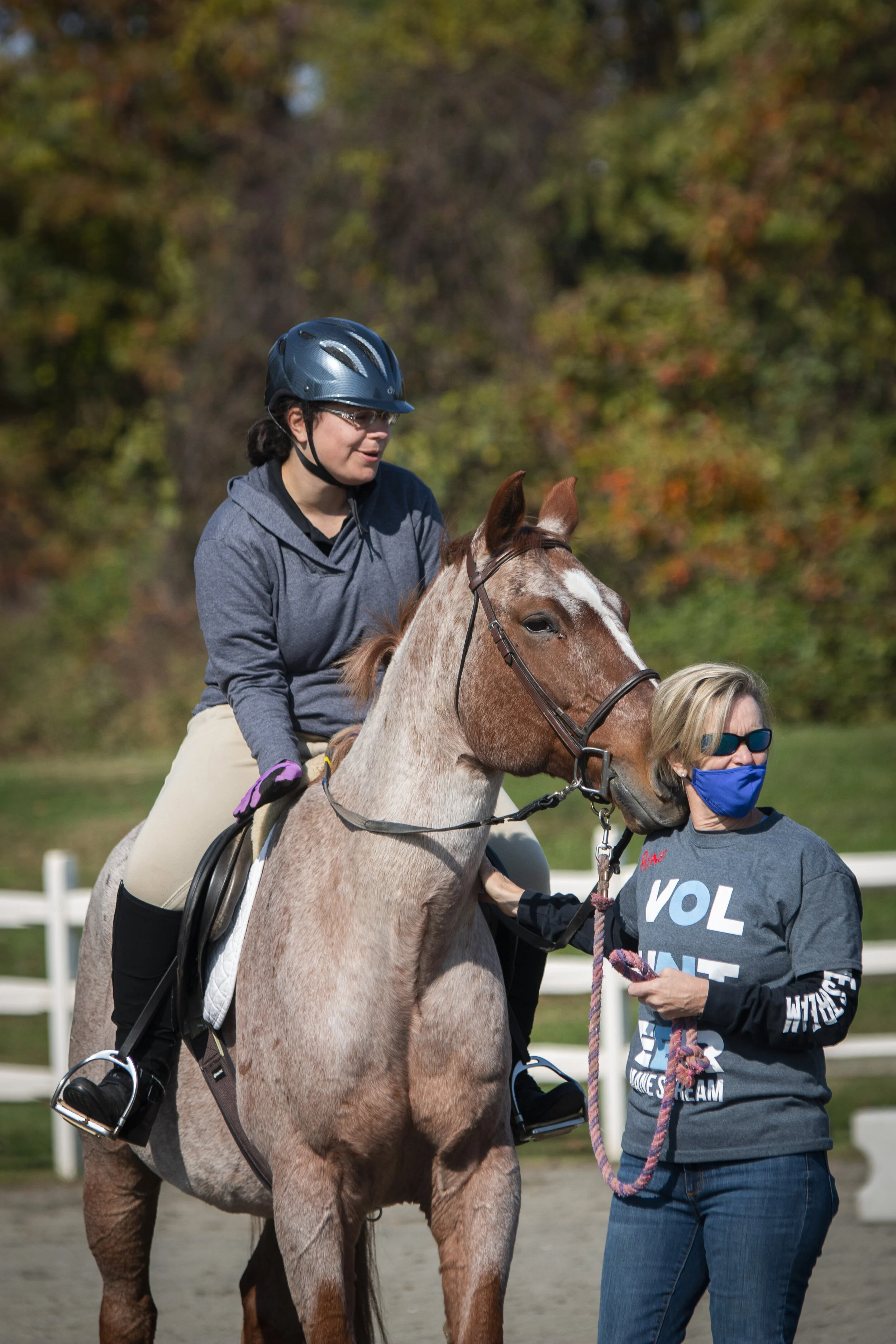 Mane Stream — Horse Shows