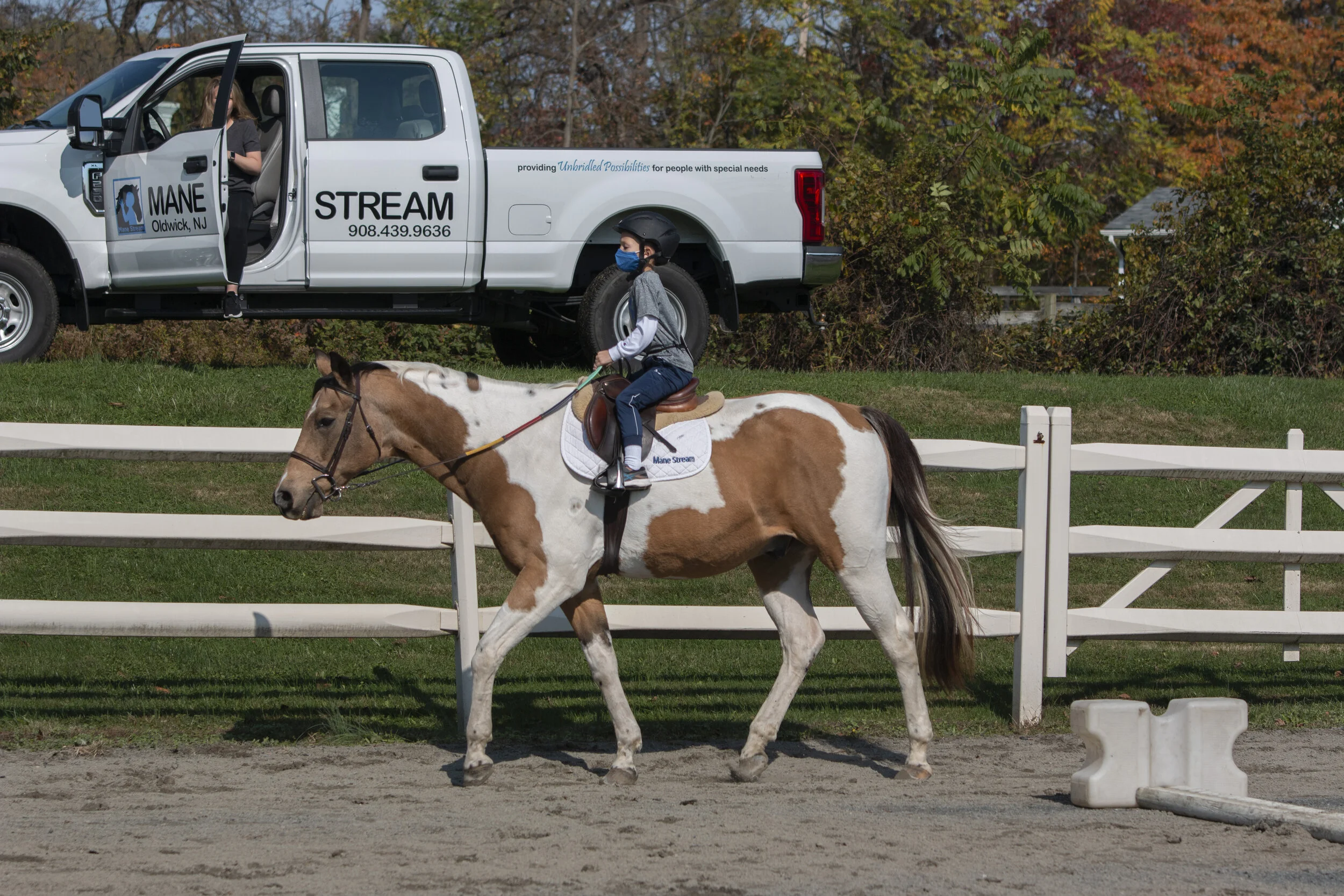 Mane Stream — Horse Shows