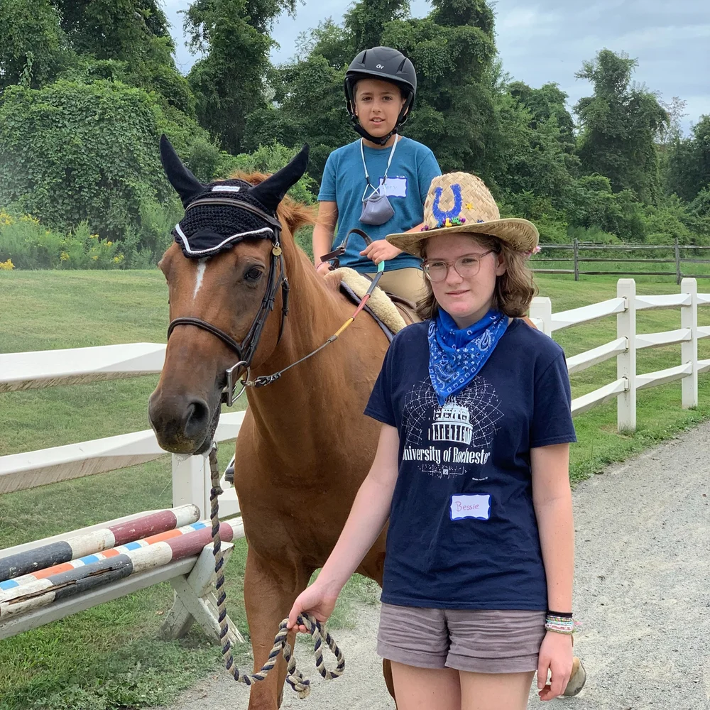 Mane Stream — Volunteer Opportunities