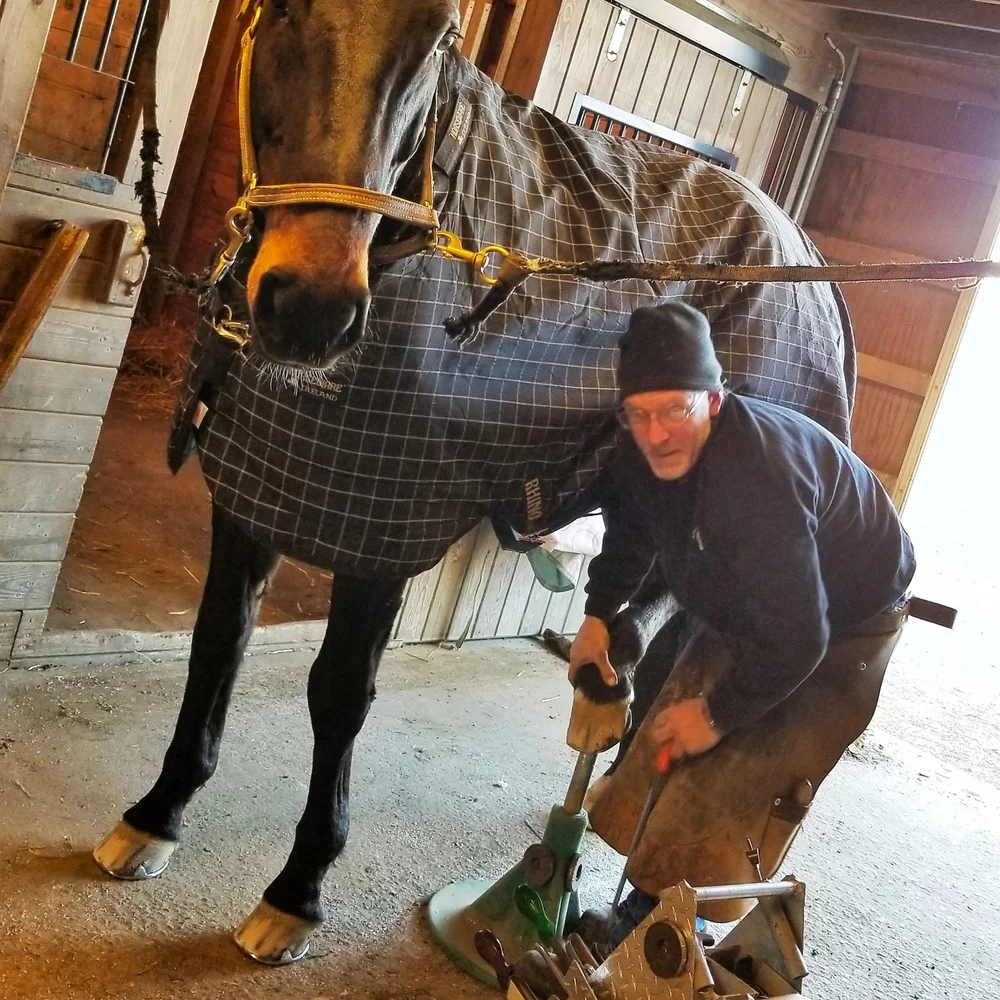 Mane Stream — It's National Farrier's Week!