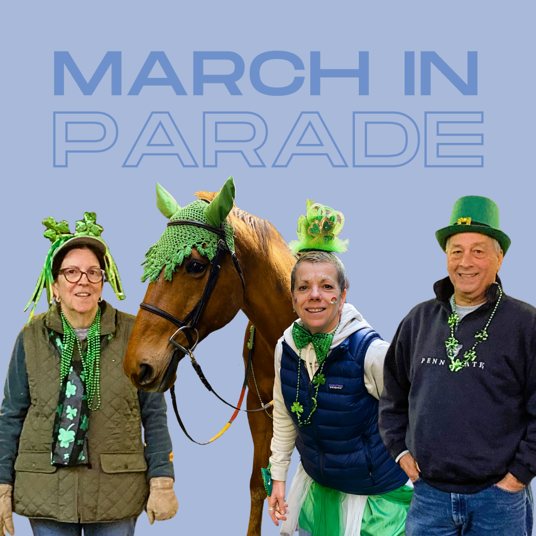 Mane Stream — Instructions for Marching in the Parade