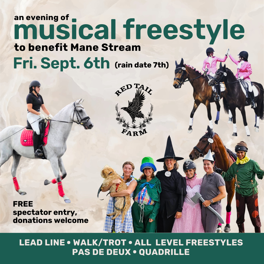 Mane Stream — Events