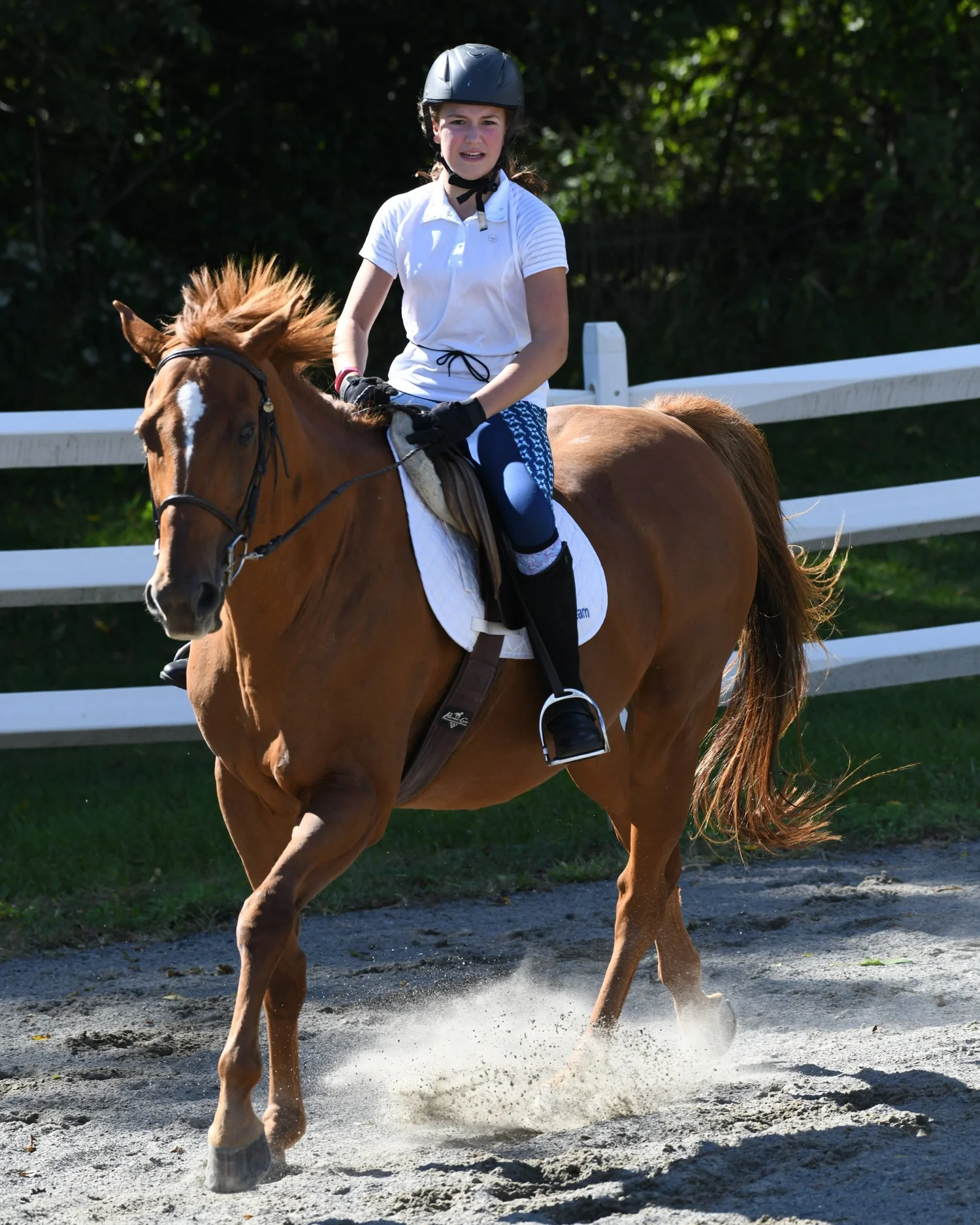 Mane Stream — Adaptive Riding