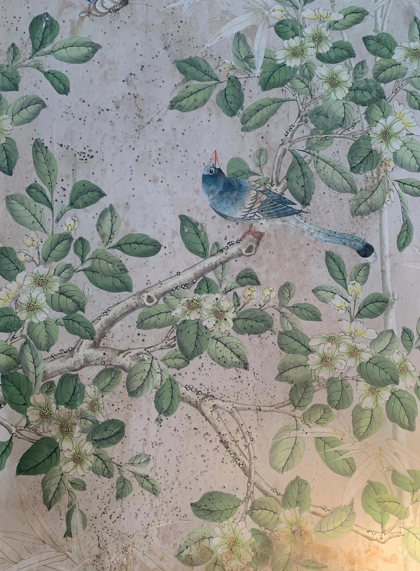 Wallpaper Restoration, Cleaning and Repair — Scenic Wallpaper