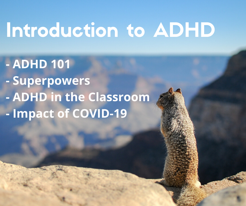Introduction to ADHD — Michelle Chappell Life Coach