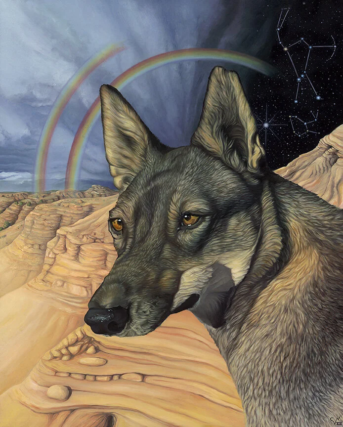 Sirius Dog Star