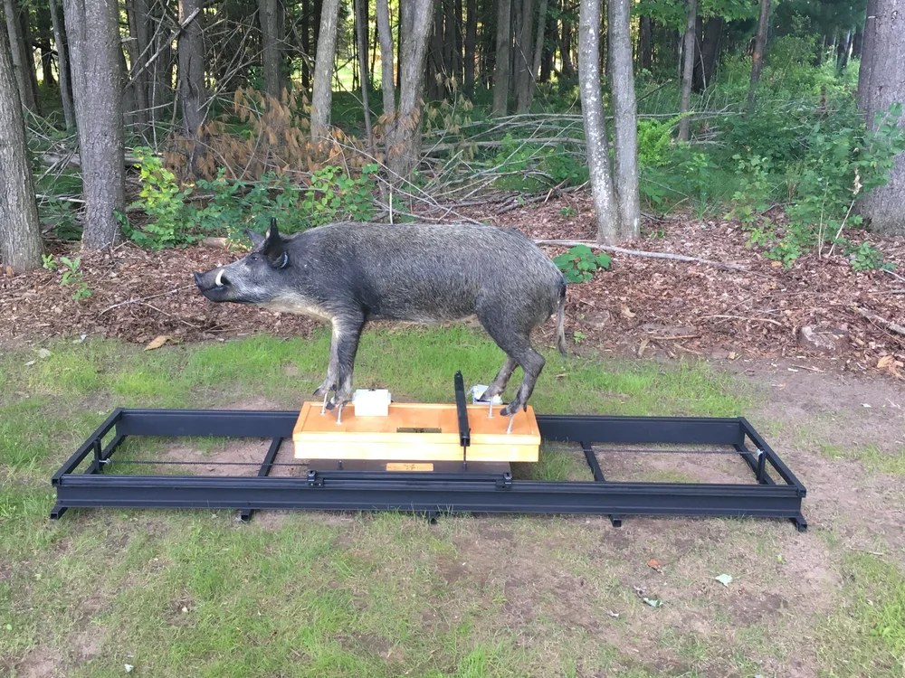 Track System — Robotic Decoys - Custom Built Robotic Wildlife Decoys