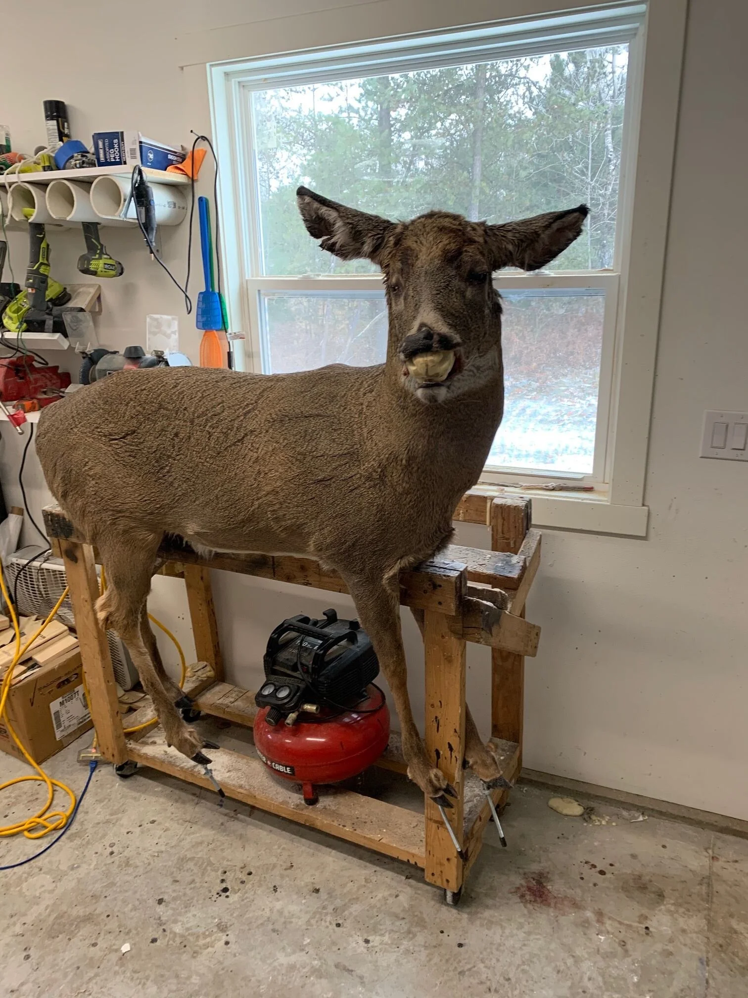 What we’re working on Wednesday’s — Robotic Decoys - Custom Built ...