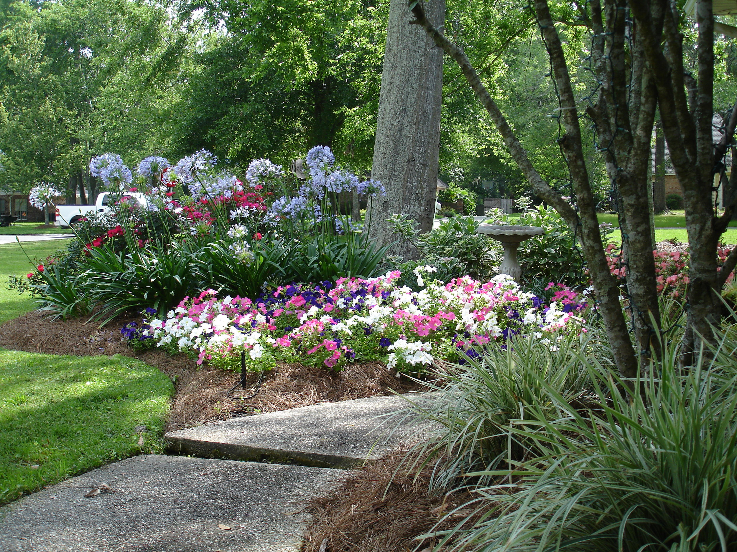 Baton Rouge Gardens | Fasci Garden