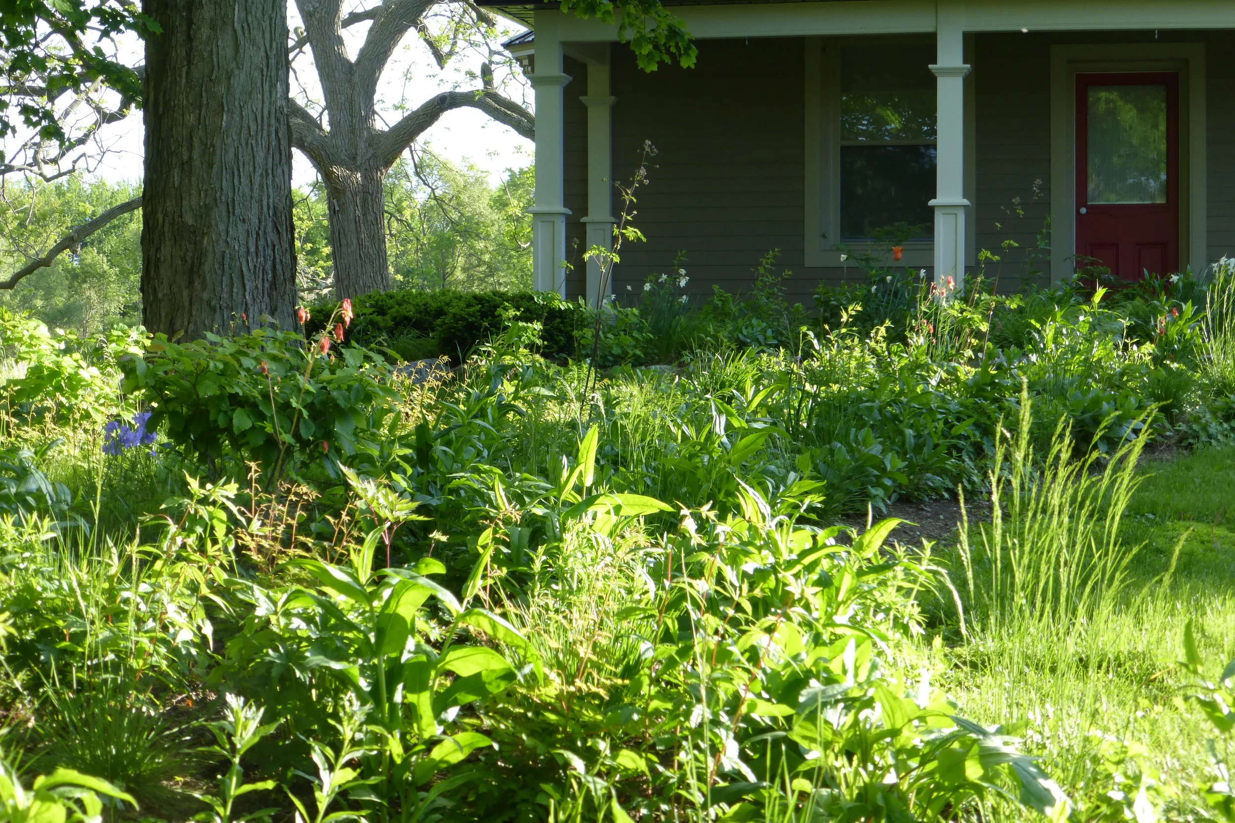 The Farm Garden — Wild by Design