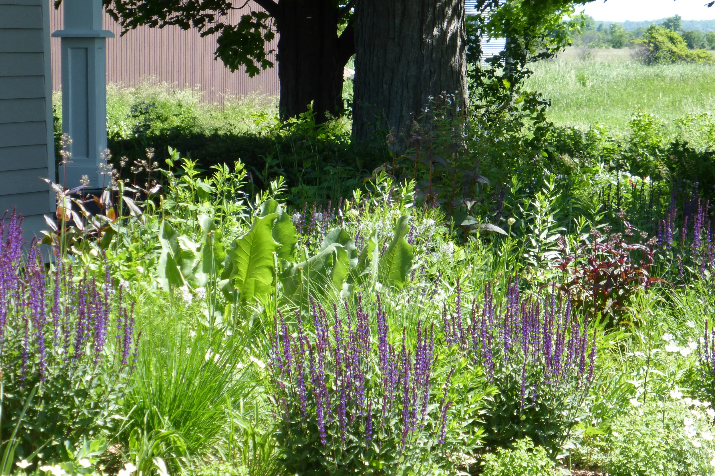 The Farm Garden — Wild by Design