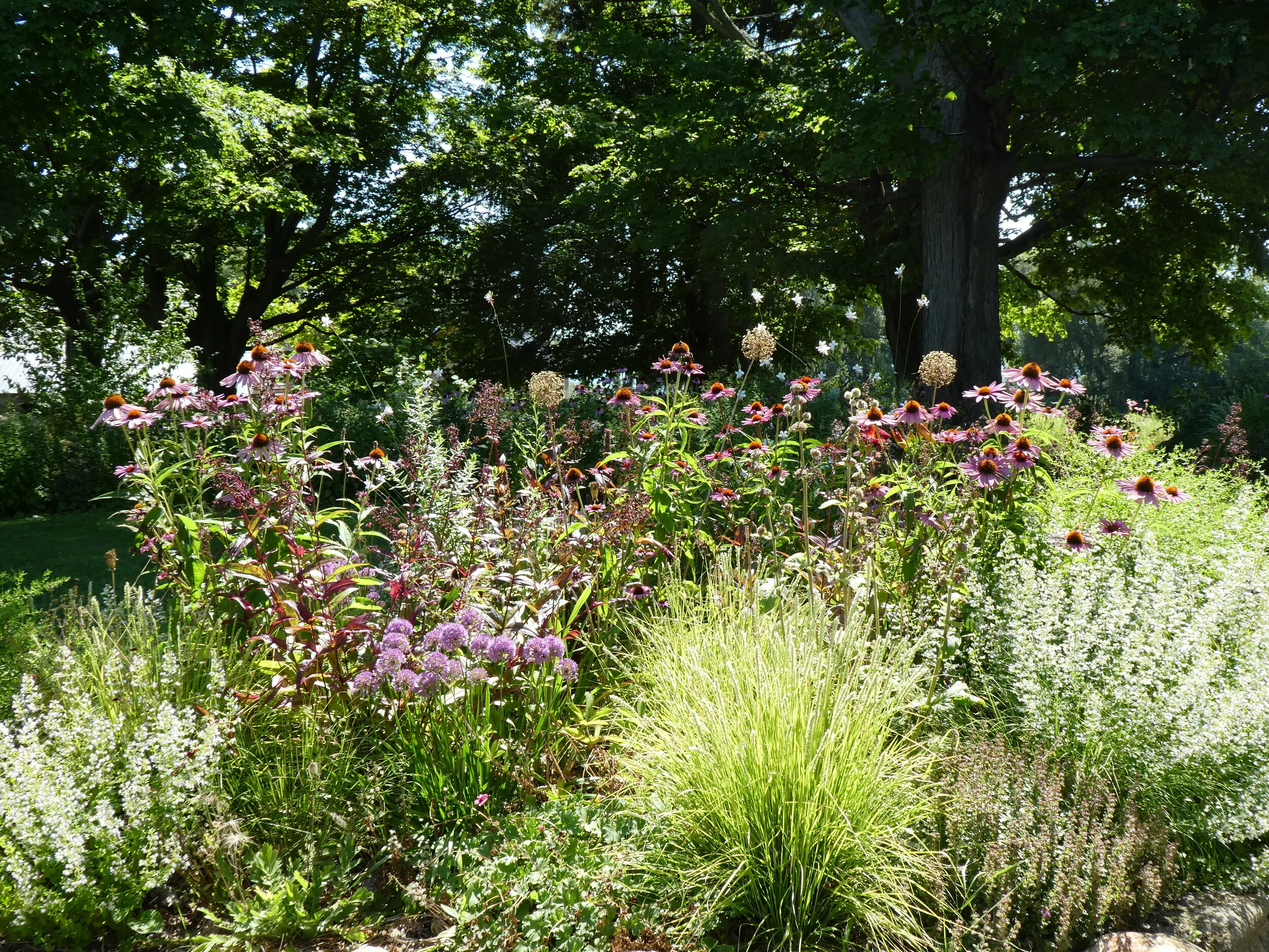 The Farm Garden — Wild by Design